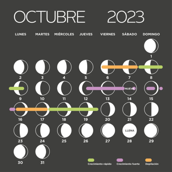 Descubre los SECRETOS del CALENDARIO LUNAR para SALUD y BELLEZA
