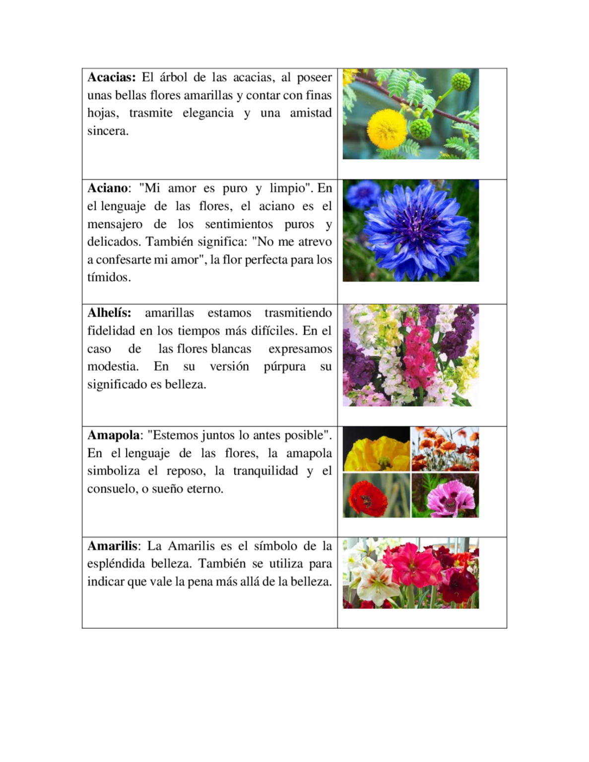 La flor que simboliza el recuerdo eterno: descubre su significado.